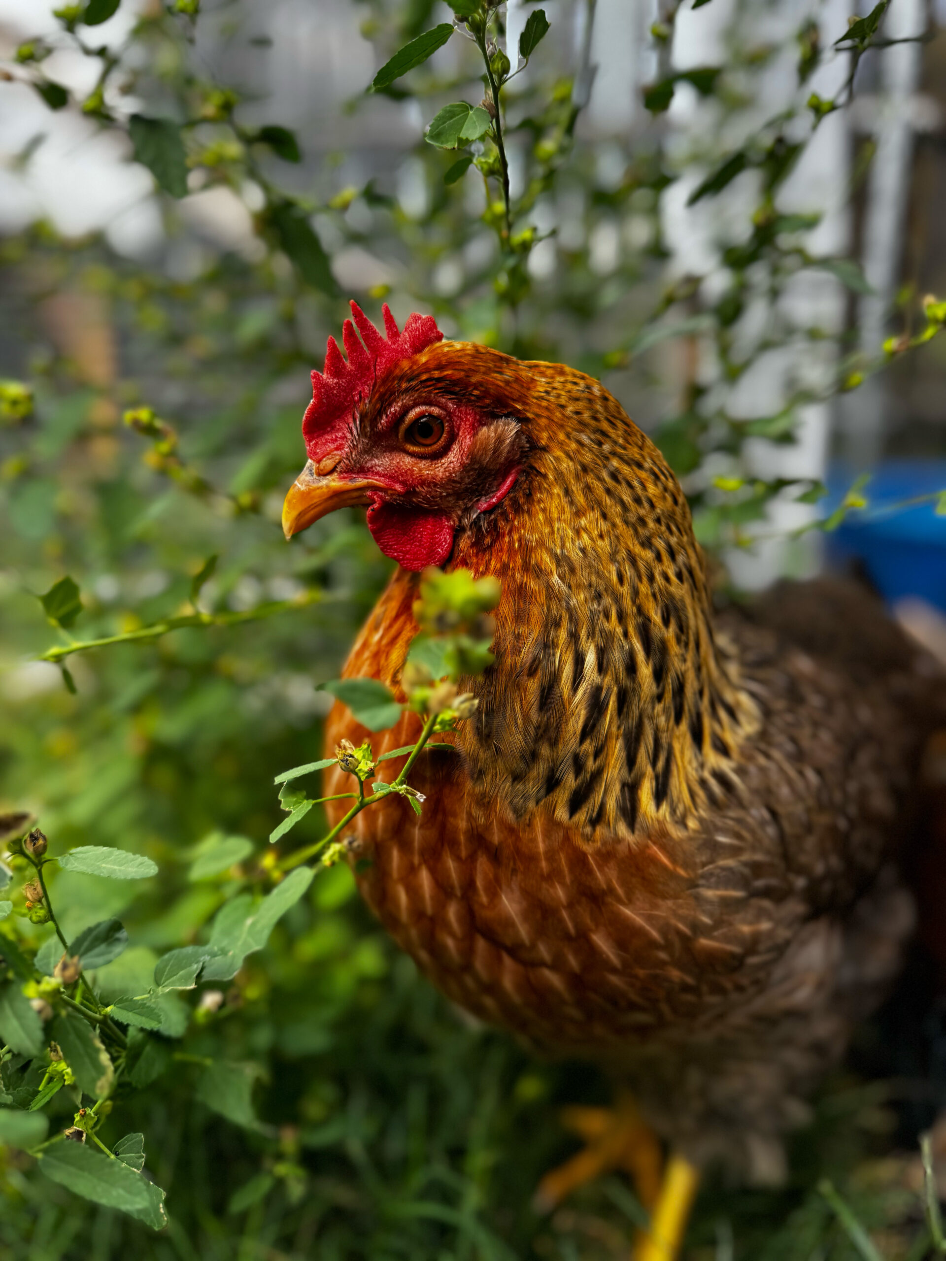 2023 Photo Comp Winner Gallery - K12 Enrichment