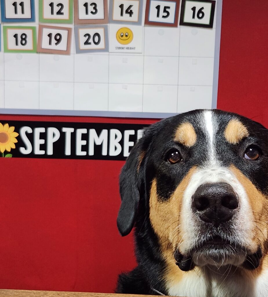 2023 Photo Comp Winner Gallery - K12 Enrichment